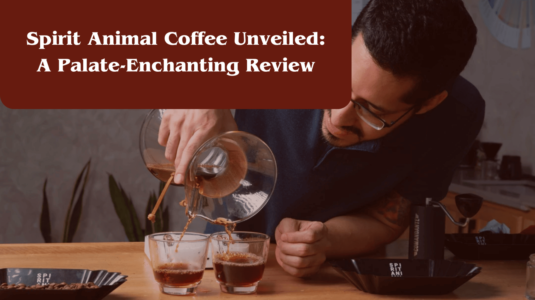 Spirit Animal Coffee Review: Unleashing the Essence of Exceptional Brews